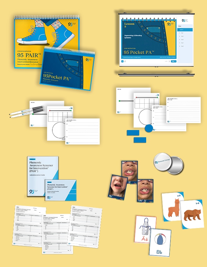 95 Phonemic Awareness Suite™
