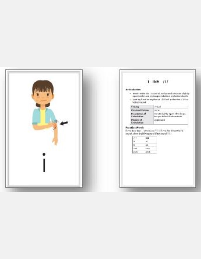 95 Phonics Skill Seriesâ„¢ Short Vowels Teacher's Package